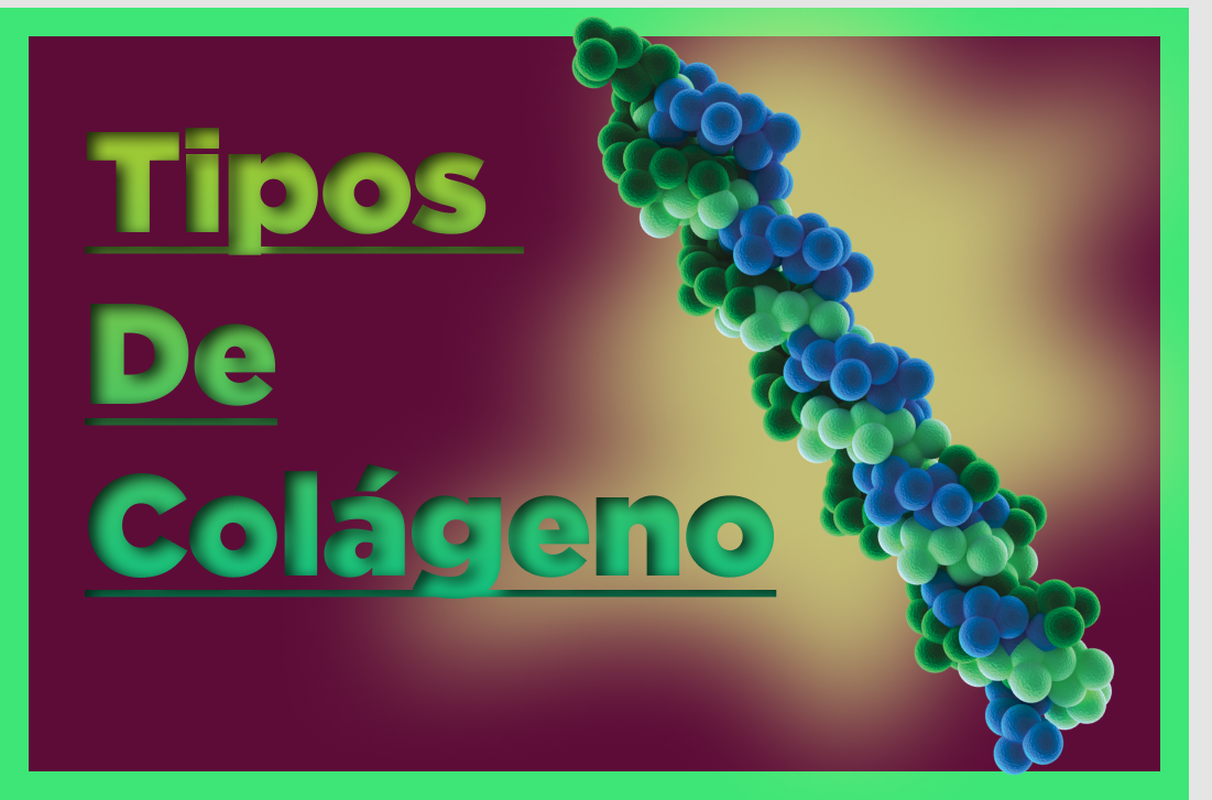 El colágeno, Tipos de colágeno ¿Qué es el colágeno?