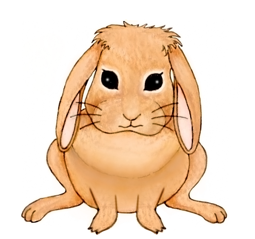 7.6 Lbs of Awesome: Meet the Critters: Murphie Bunn