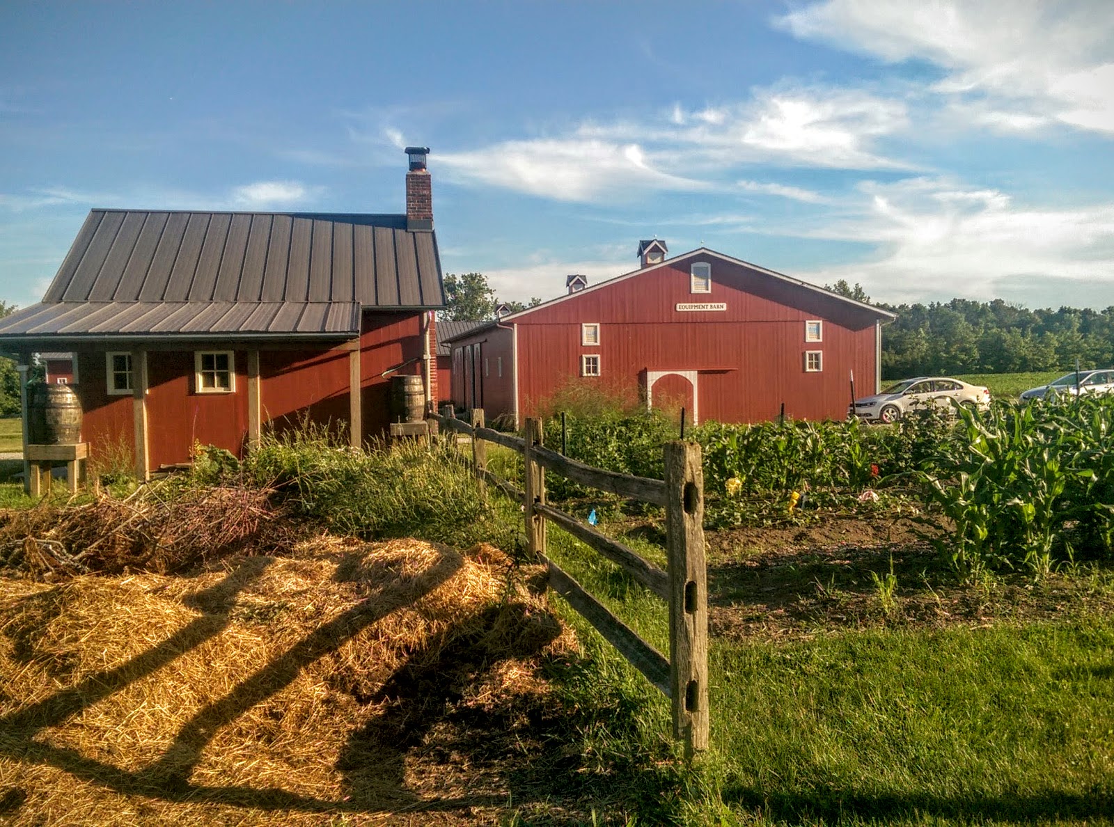 Fort Wayne Run Review: [Review] Salomon Farm Park