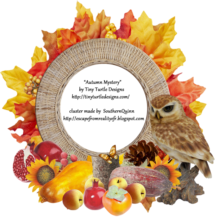 Escape From Reality Blog: FTU 'Autumn Mystery' Cluster & Cluster Frames