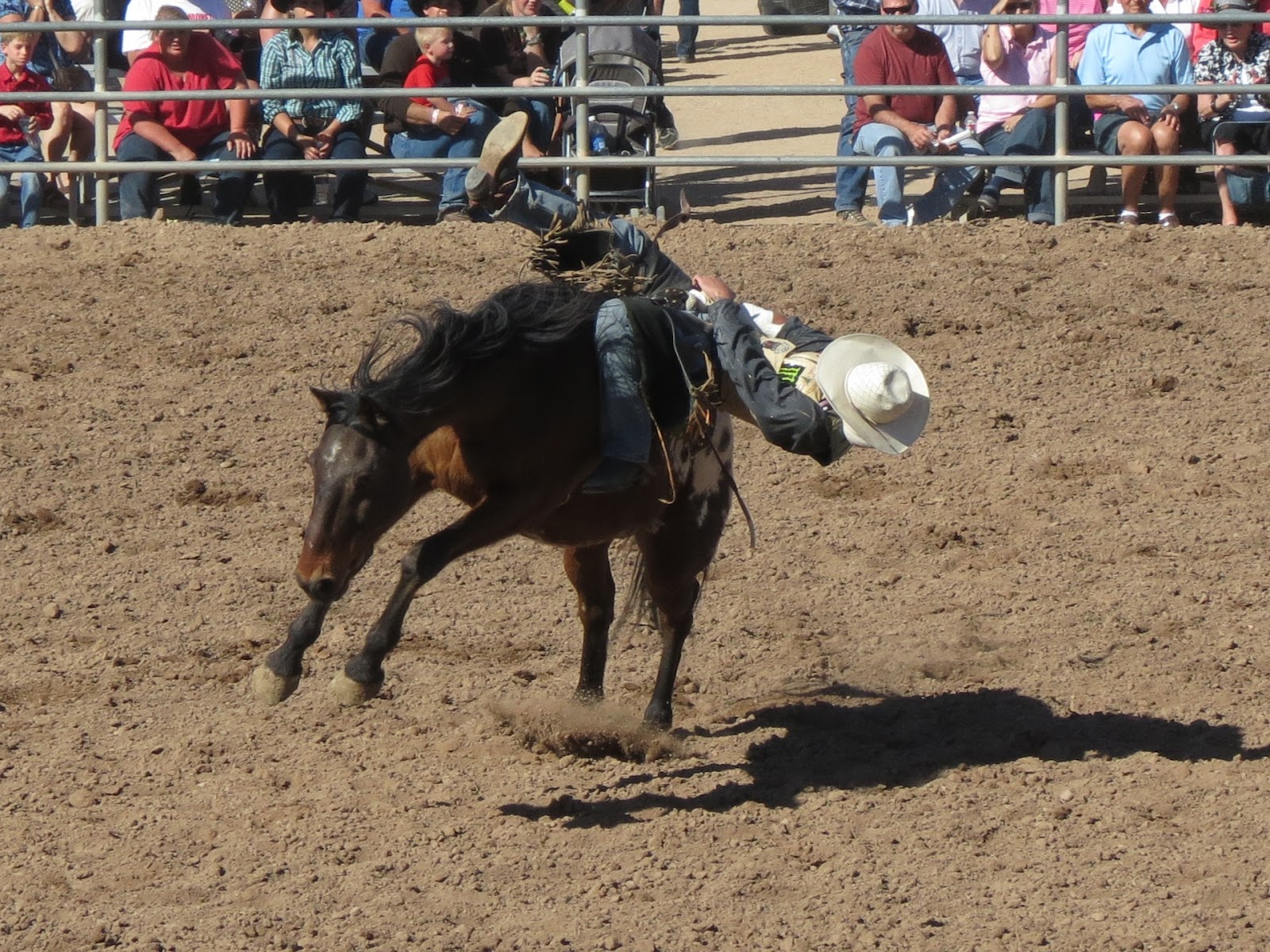 Meandering...: Lost Dutchman Days Rodeo & The Olive Mill