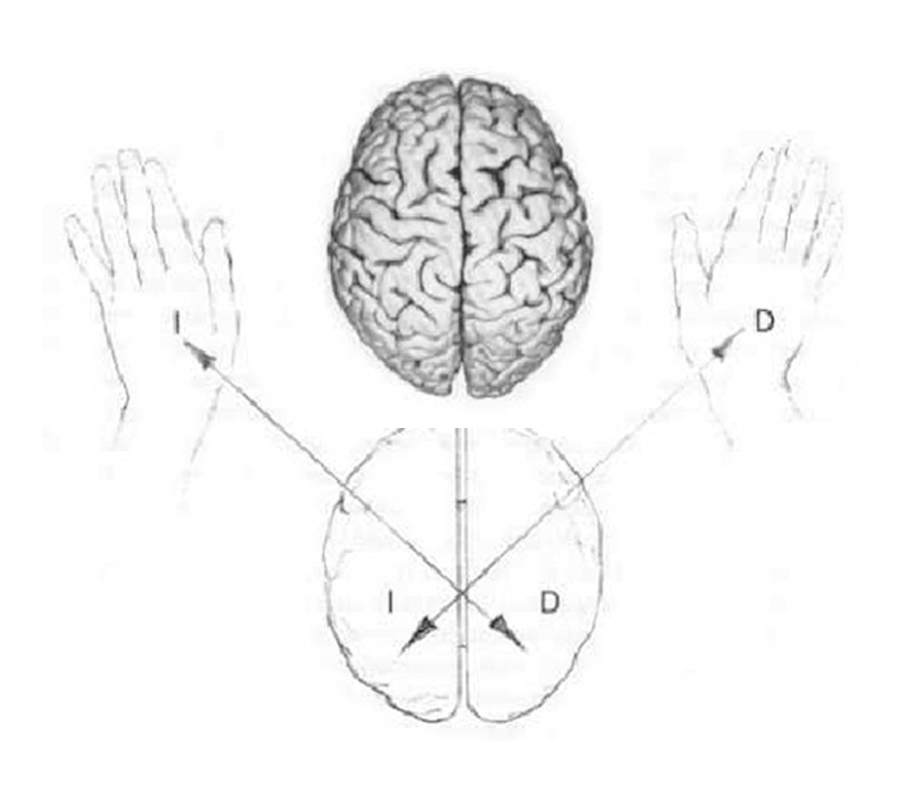 TALLER DE EXPRESIÓN GRÁFICA CCH: 4. BETTY EDWARDS 2DA, PARTE