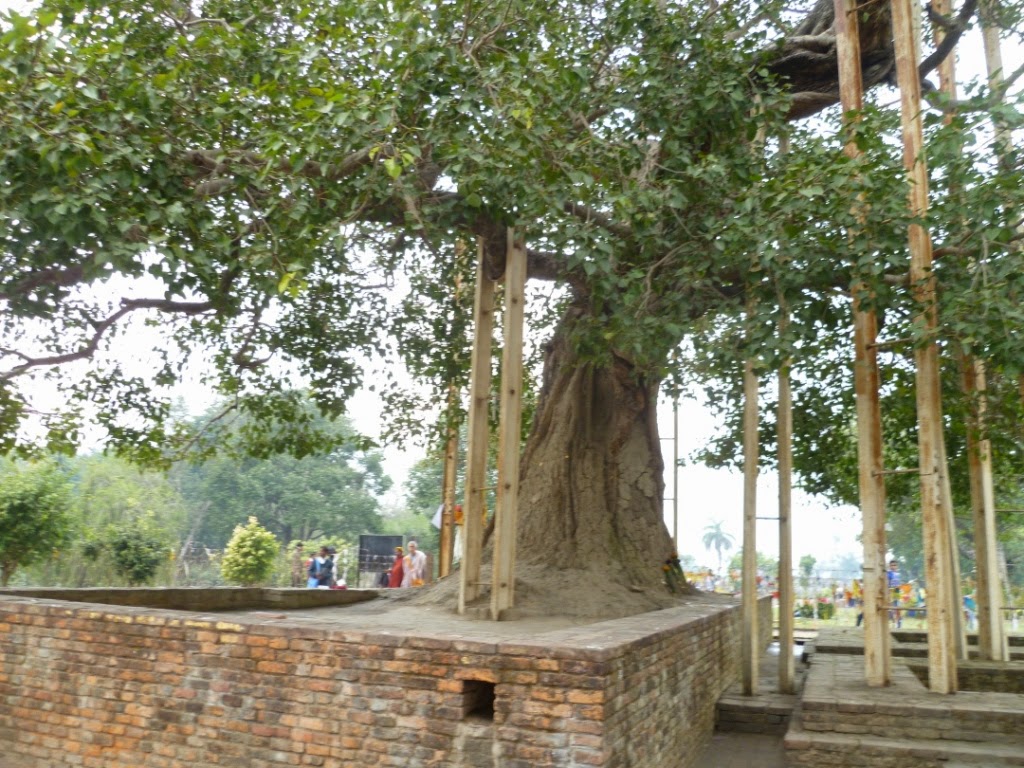 Buddhist Pilgrimage : Dhamma Yatra 2014-2015, Part -1