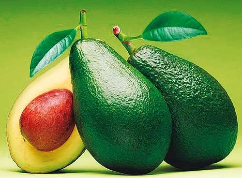 Palta: fruto completo para la buena salud - Salud en Casa Perú