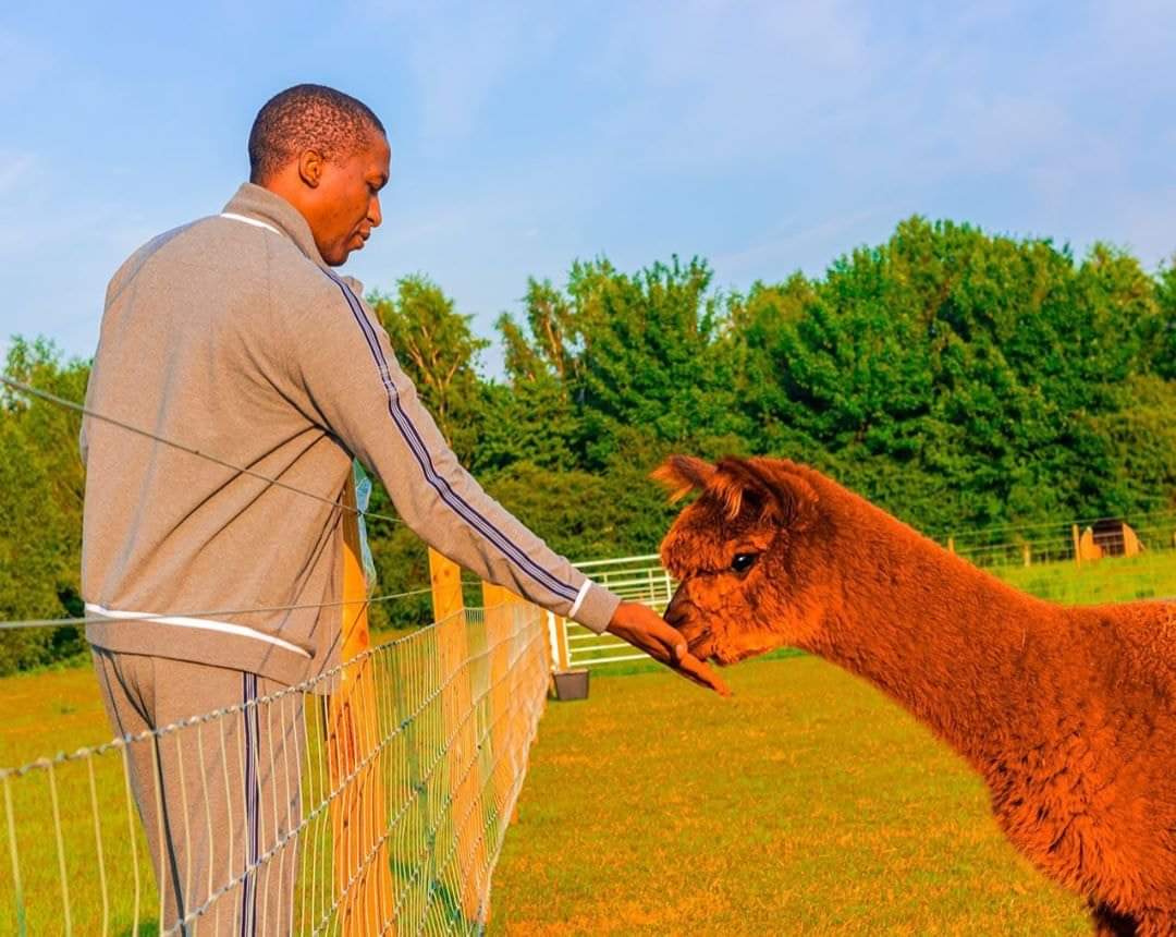 PICS : MEET MY ALPACAS | Mafaro