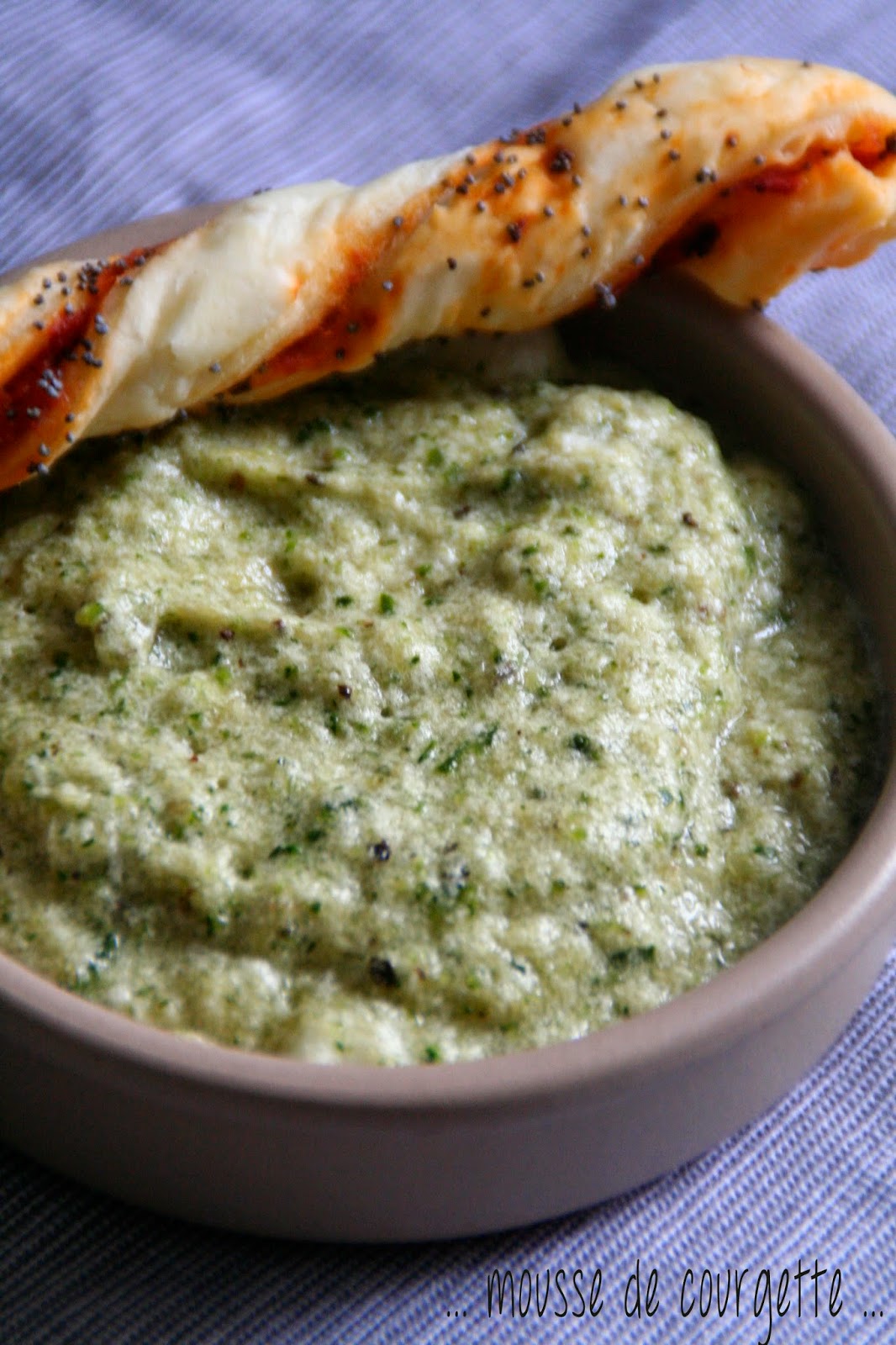ET CHARLOTTE DÉCOUVRIT LA CUISINE...: Mousse de Courgettes