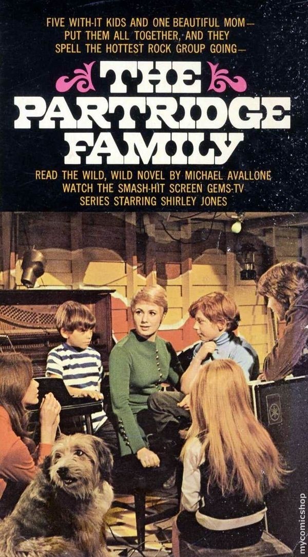 THE BOOKSTEVE CHANNEL: Come On, Get Happy! The Partridge Family