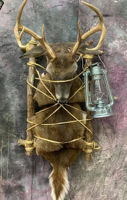 Marian's Hunting Stories, etc., etc., etc...: A Unique Deer Mount