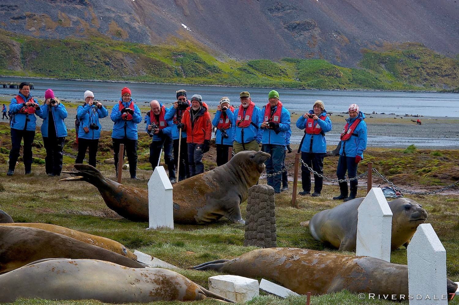 MV FRAM EXPEDITION BLOG: Husvik and St. Andrews Bay