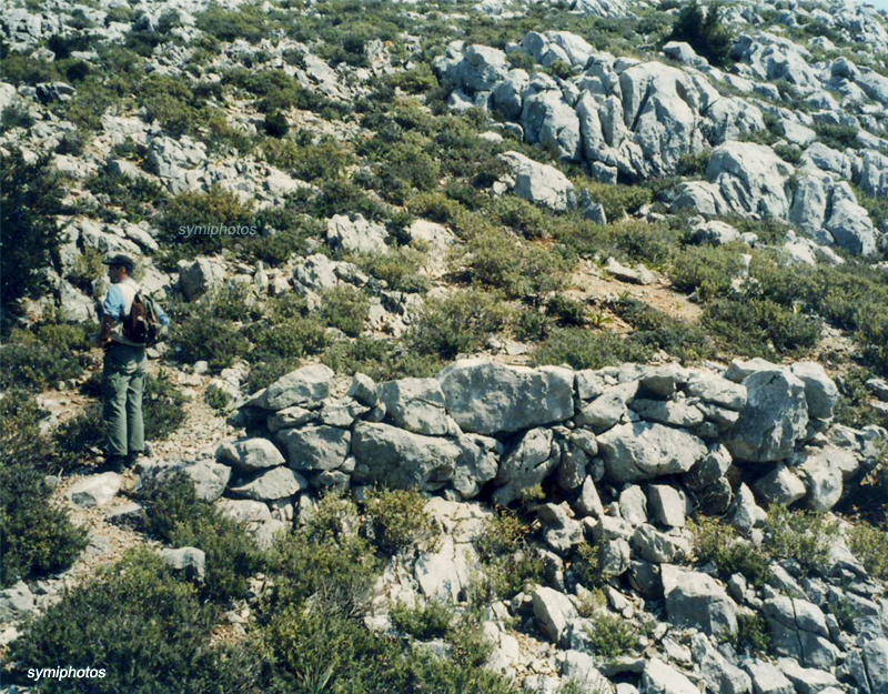 ΑΜΑΞΙΤΗ. ΕΝΑ ΓΙΓΑΝΤΙΟ ΕΡΓΟ ΤΗΣ ΑΡΧΑΙΑΣ ΕΠΟΧΗΣ ΣΤΗ ΣΥΜΗ | ΣΥΜΑΙΩΝ ΓΗ