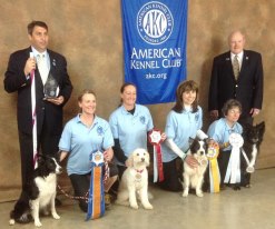 3 Dog Days: Ribbons from AKC Nationals