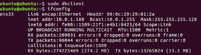 Hướng dẫn Release and Renew một IP (DHCP IP) trên Linux bằng Terminal