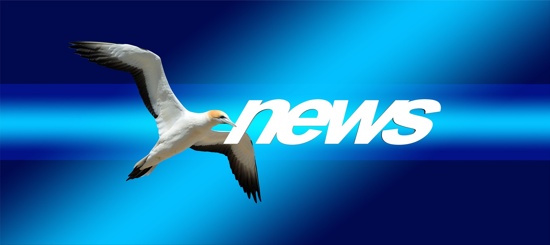 Single Click Multiple Information July 2020 single-click-multiple-information-july-2020