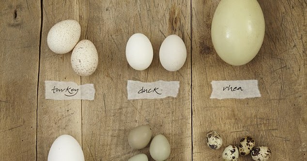 QUARTER 1: Egg, Cereal, and Starch Dishes: LO 2 : Prepare and Cook egg ...