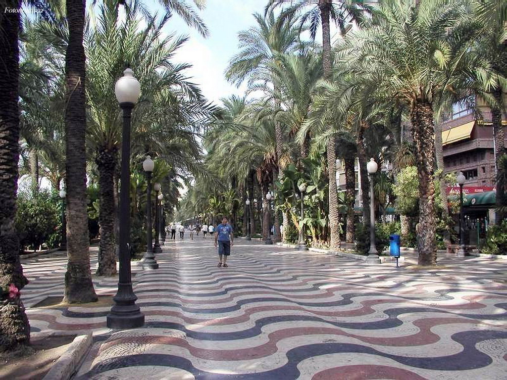 EL Jardin de las Mariposas: ELCHE