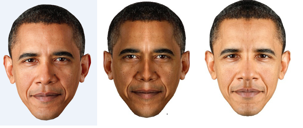 Find the Symmetric Face!