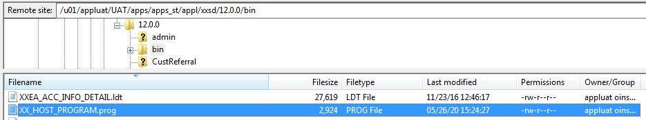 What is Host Program in Oracle
