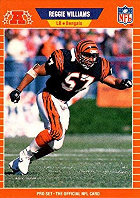 Pro Football Journal: Reggie Williams' Career Stats