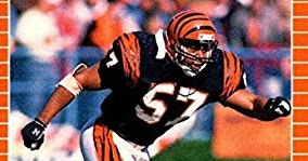 Pro Football Journal: Reggie Williams' Career Stats