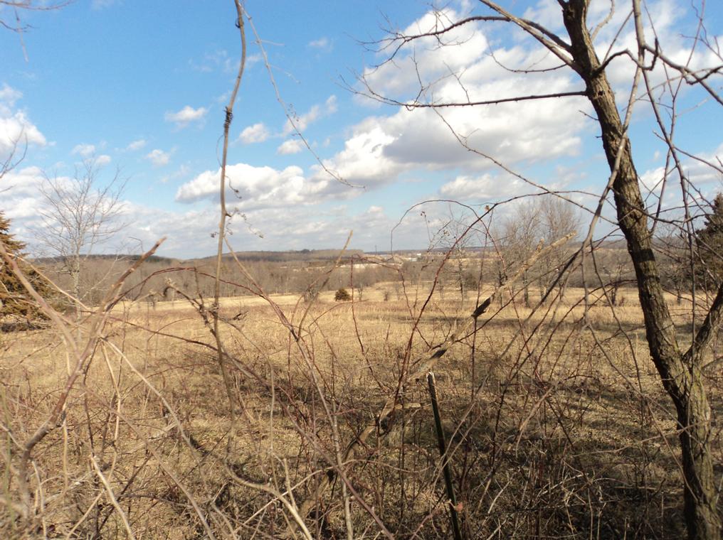 Aerial Geologist: Missouri AAPG Trip - Bennett Spring, Decaturville ...