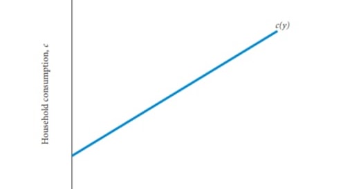 The Keynesian Theory of Consumption | MacroEconomics | CBCS