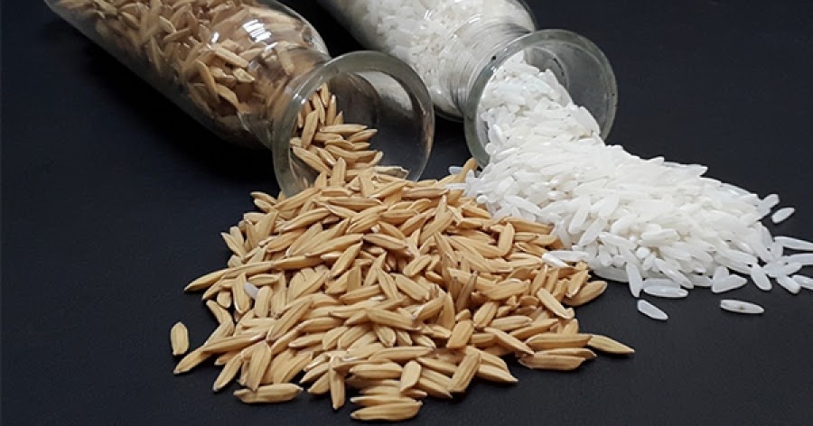 Bentuk Butir Beras - maspolhut NOTE