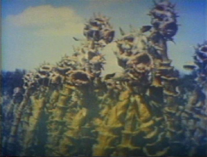 The Bloody Pit of Horror: Day of the Triffids, The (1962)