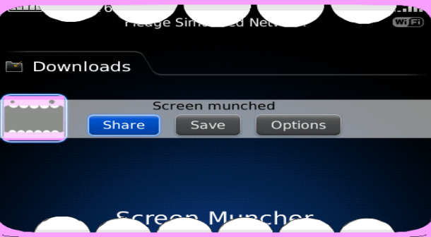 Screen Muncher Pro v2.0.5 FULL