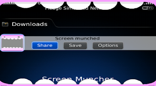 Screen Muncher Pro v2.0.5 FULL