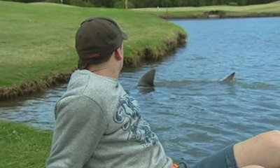 Captain Kais World: Zambezi Sharks invade Golf Course - Xtreme Golf?