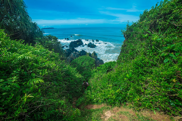 The Scintillating secret beach trek of Ramanagindi