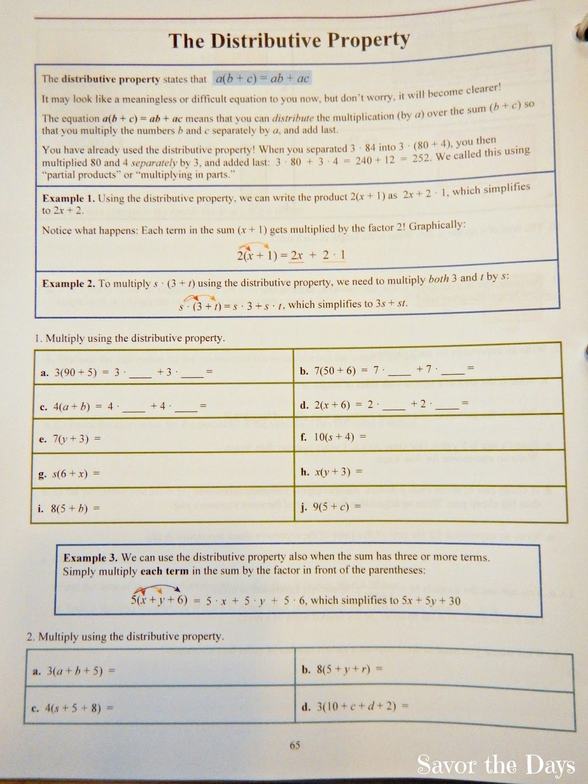 Savor The Days: Math Mammoth Review