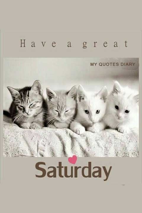 Funny Happy Saturday Quotes for Refreshing Weekend Morning