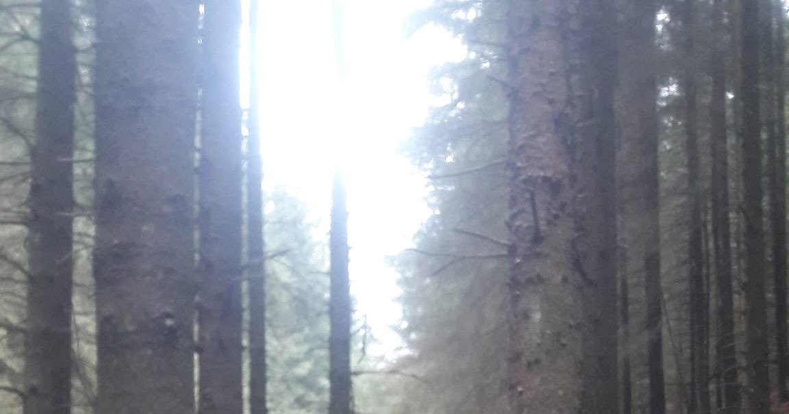 Running Delights: Yomping adventure