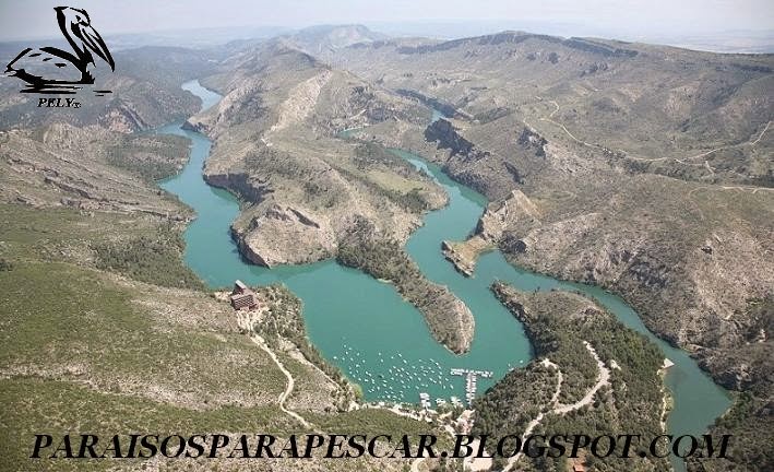 PARAÍSOS PARA PESCAR: EMBALSE DE BOLARQUE