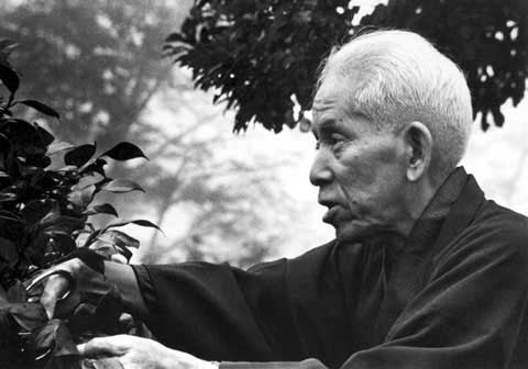 Bioterra: Biografia de Mokiti Okada