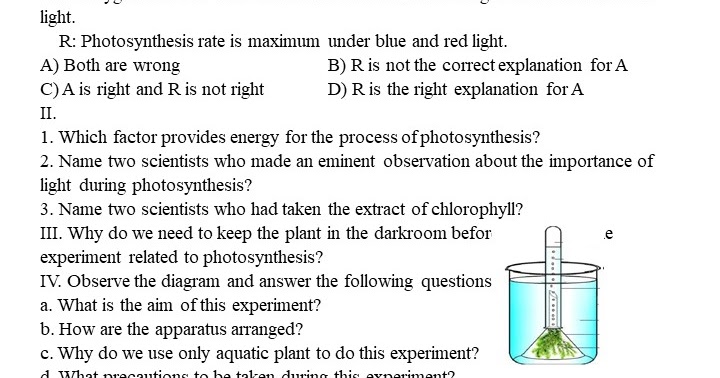 MY SCIENCE CLASSROOM: WORKSHEETS 2