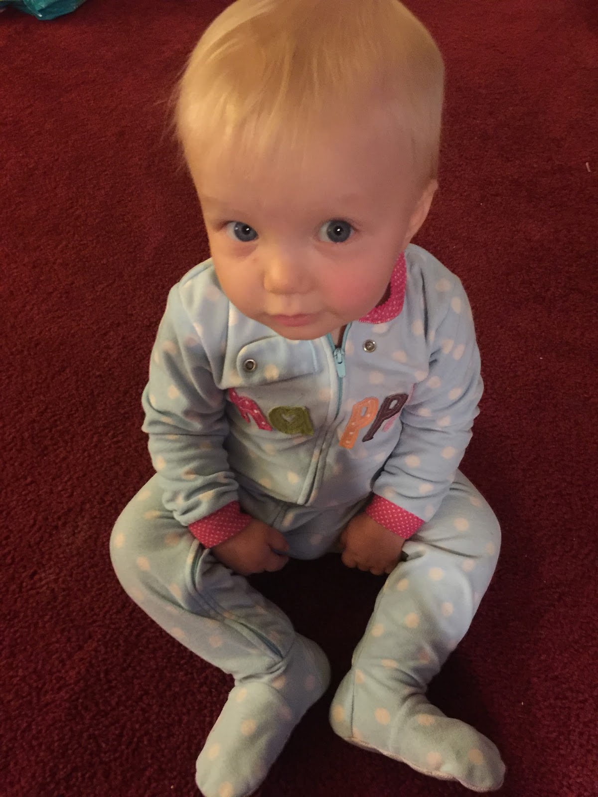 My Frogger Blog: 2017