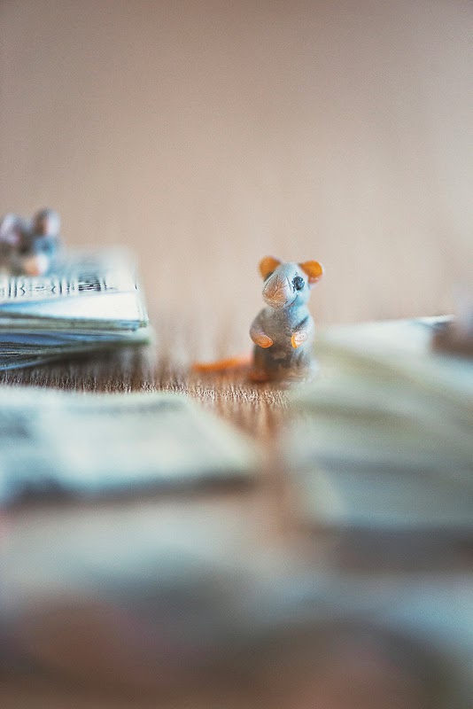 Illyria's Miniatures: My miniatures through the eyes of a professional ...