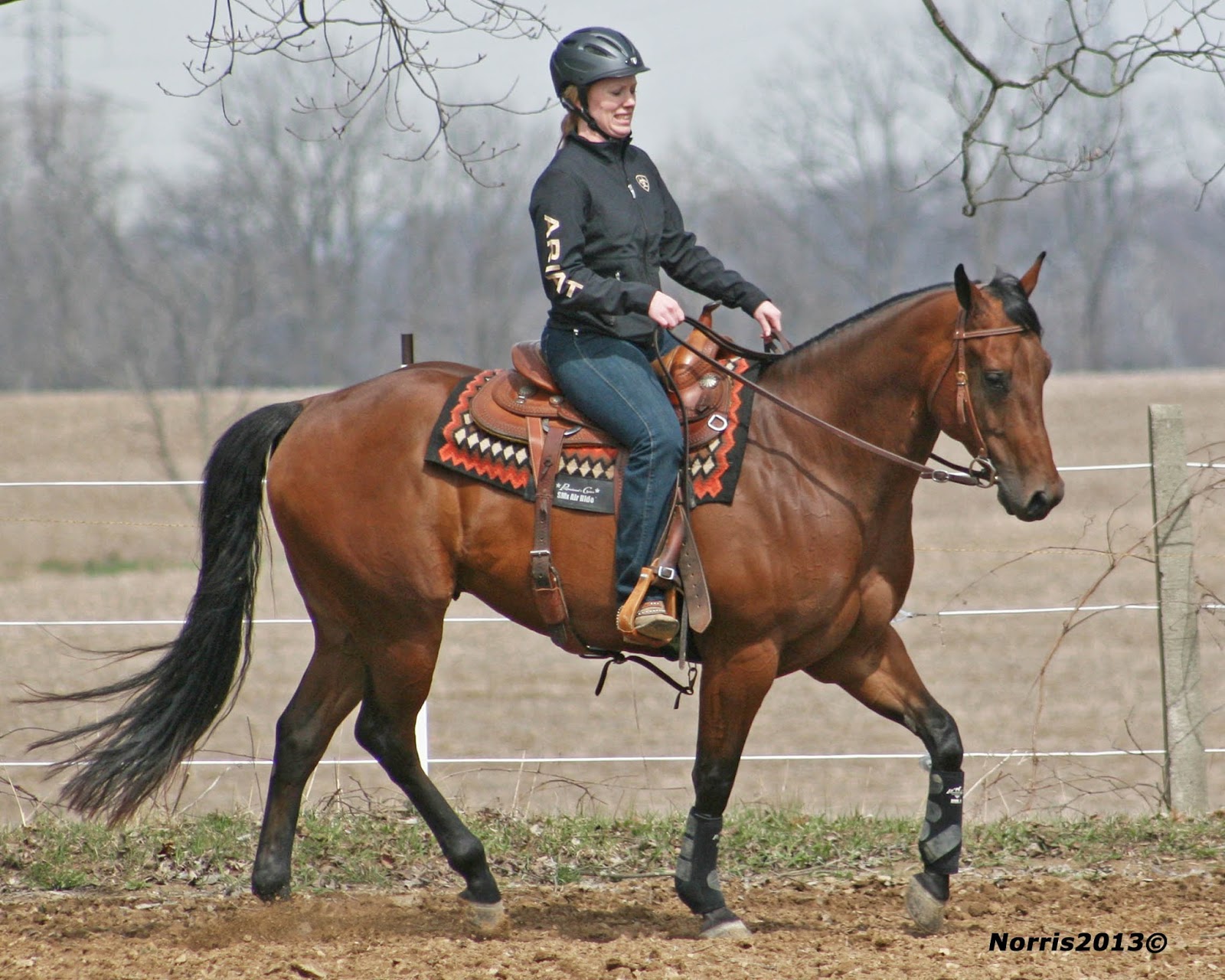 Elaine Ward Western Style Dressage: Acceptable Outlines for Basic Level ...