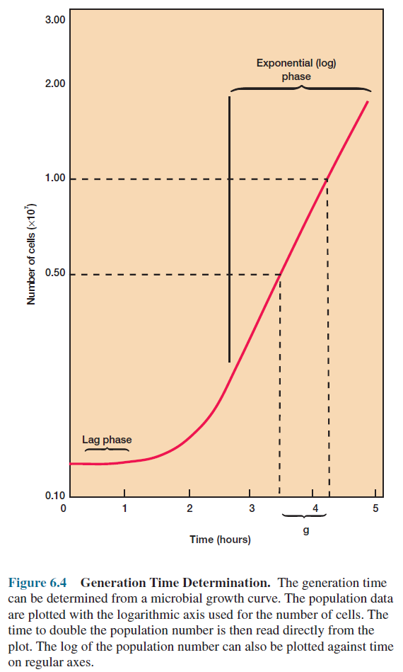 Microbiology Notes: Microbial Growth : Bacterial Growth Curve