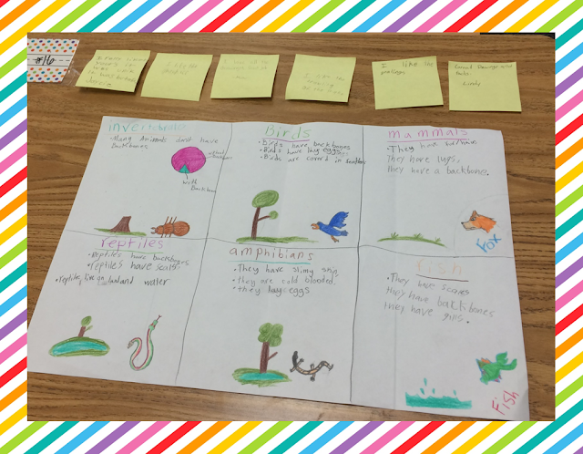 Fab and Fun in 3rd!: Science Gallery Walk!