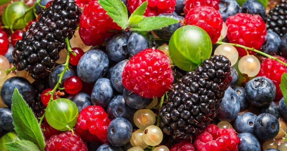 Delicias de la Abuela: Frutos del Bosque: Usos y Beneficios