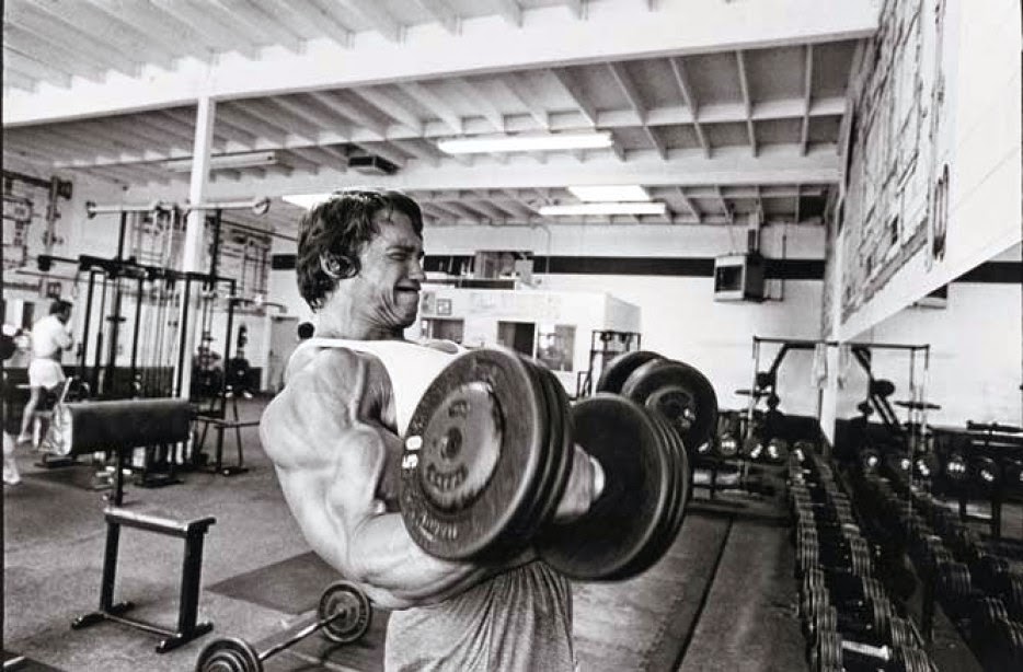 BUILD ARMS LIKE ARNOLD SCHWARZENEGGER