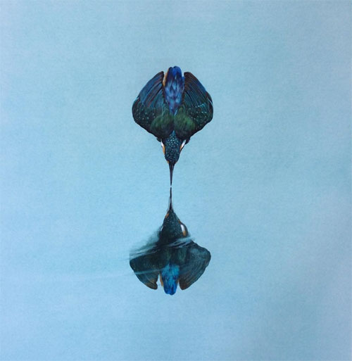 My Owl Barn: Watercolor and Gouache Wildlife Inspired Paintings by Tim ...