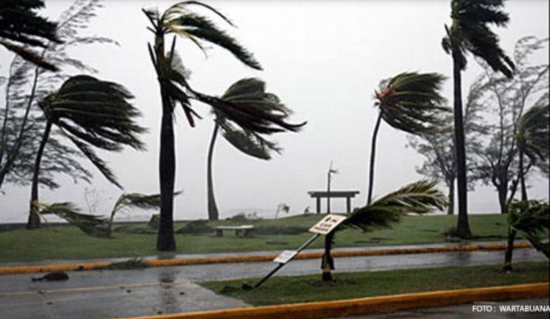 Angin Muson : Pengertian, Sejarah, Jenis-jenis, Dampak dan Proses ...