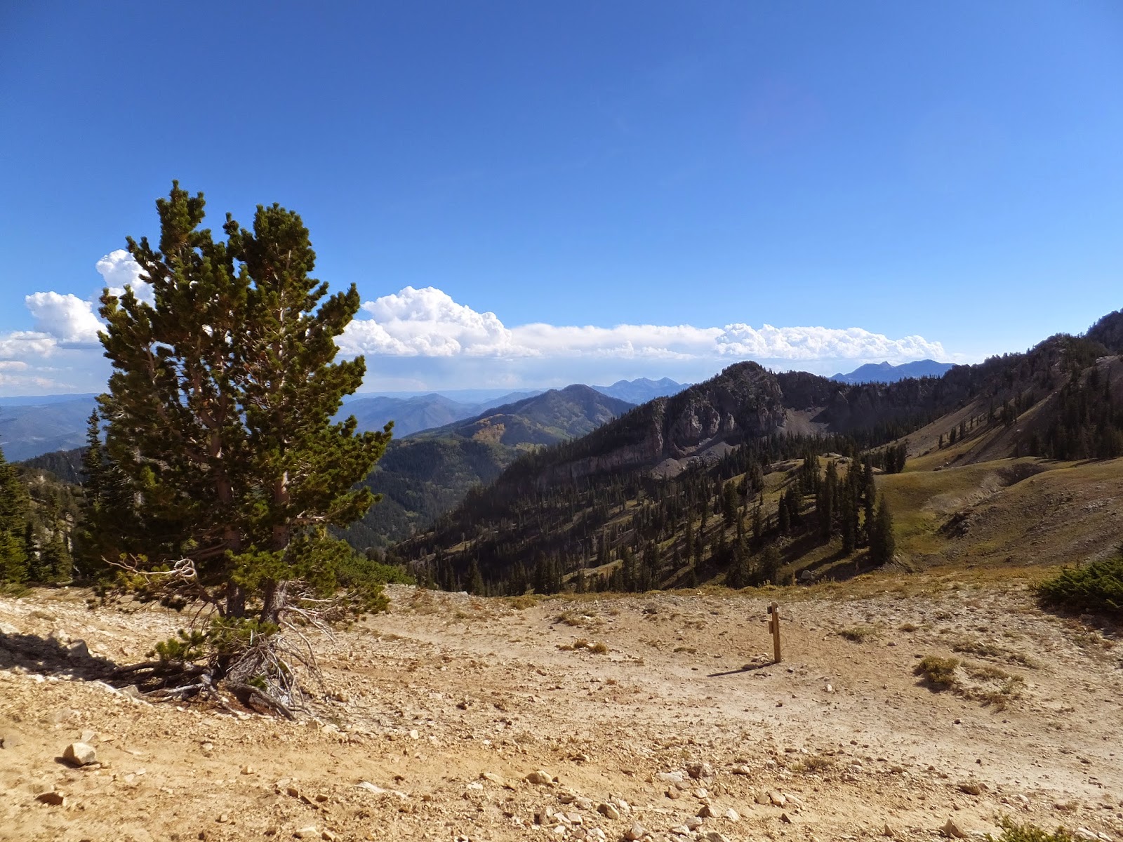 Crazy Hiker Chick: Sunset Peak