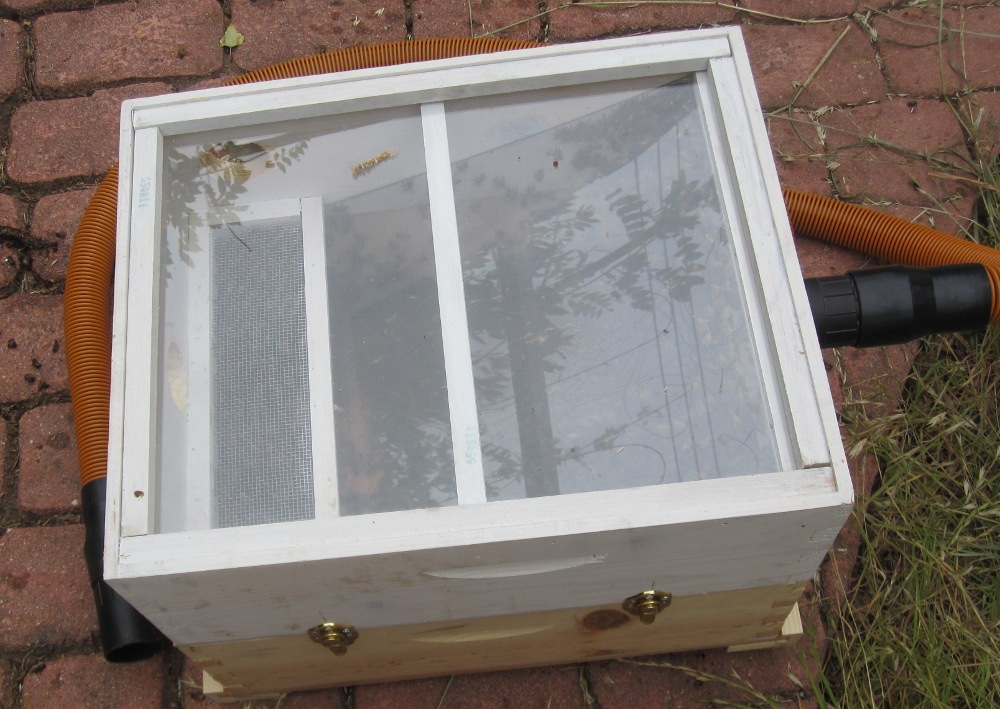 bee rescue ventura: home build bee vac used for the first time: room ...