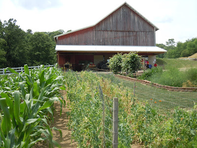 Aurora Blythe: Barn Tour