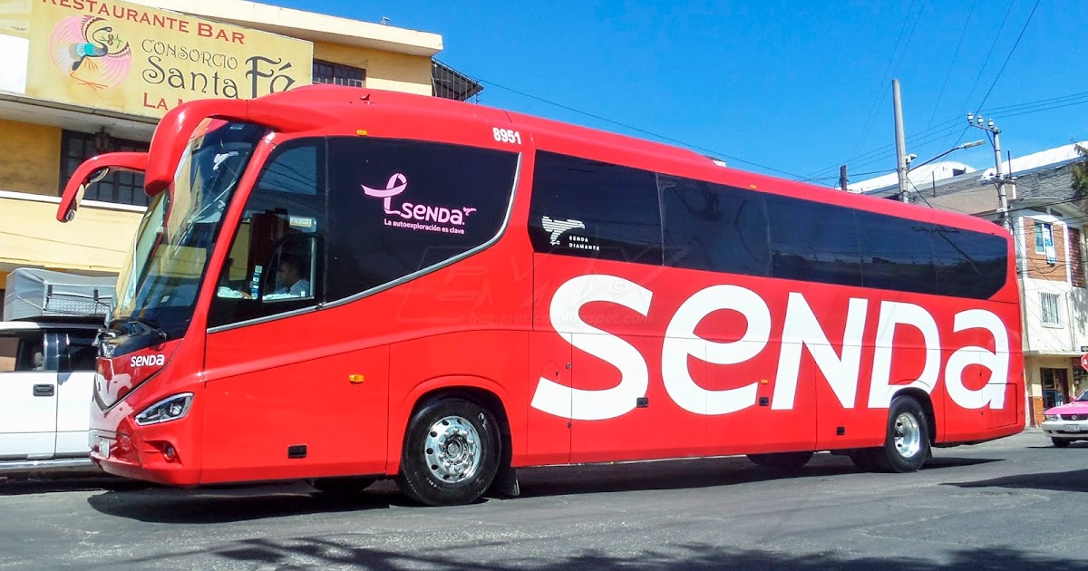 Senda Diamante - Bus-México